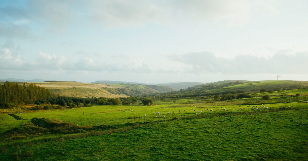 Cymru Can: How the Well-being of Future… | Wales Week London