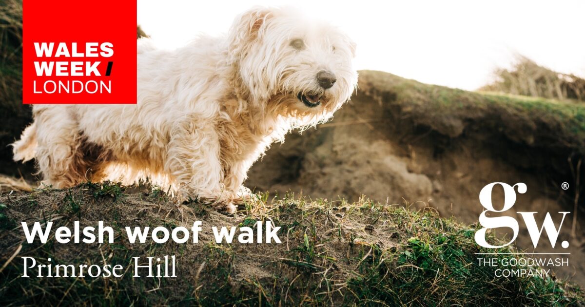 Welsh Woof Walk | Wales Week London